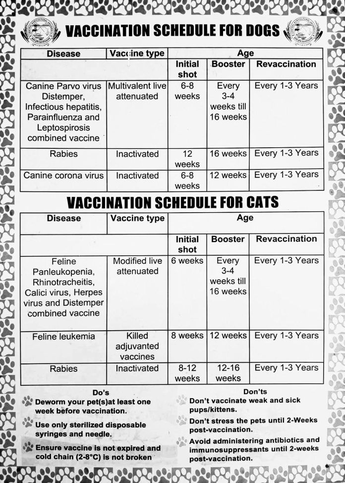 Vaccination and deworming schedule for pet dogs & cats | The Arunachal Times